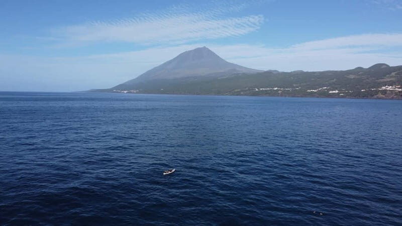 Pico island: guided kayak and snorkel tour - Practical Tips for Participants