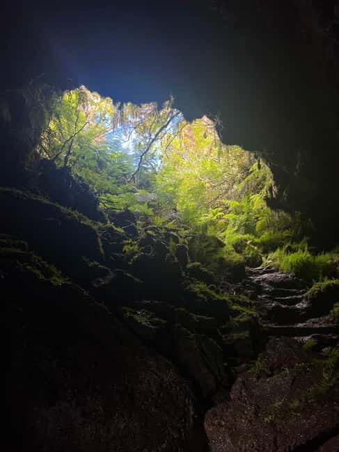 Pico Island: Lagoons and Mysterious Lava Tunnels Guided Tour - An In-Depth Look at the Pico Lagoon & Lava Tunnel Tour