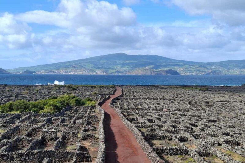 Pico Island: Private Highlights Tour - Practical Tips for Your Tour
