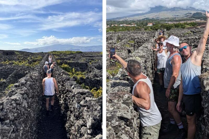 Pico Island: Private Highlights Tour - Final Thoughts