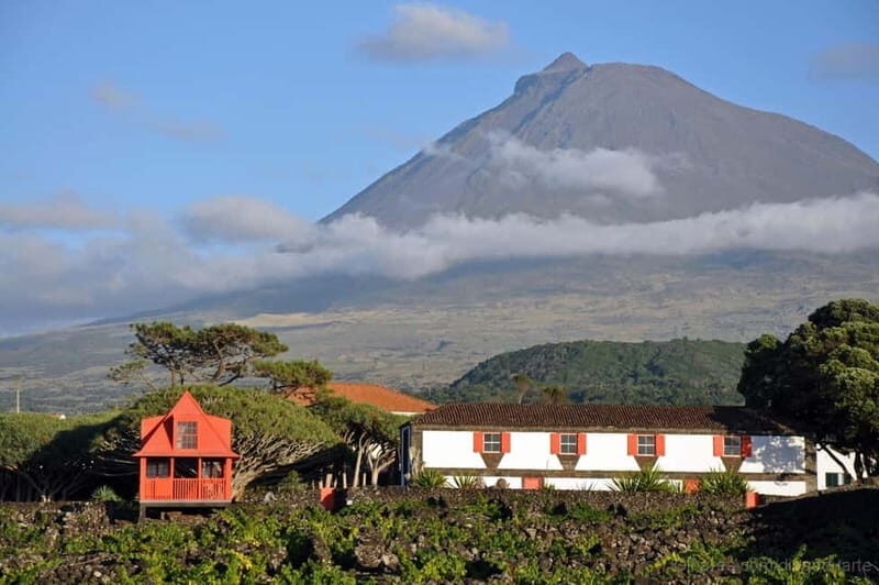 Pico Island: Tours on Pico Island - Introduction: An Authentic Slice of Pico