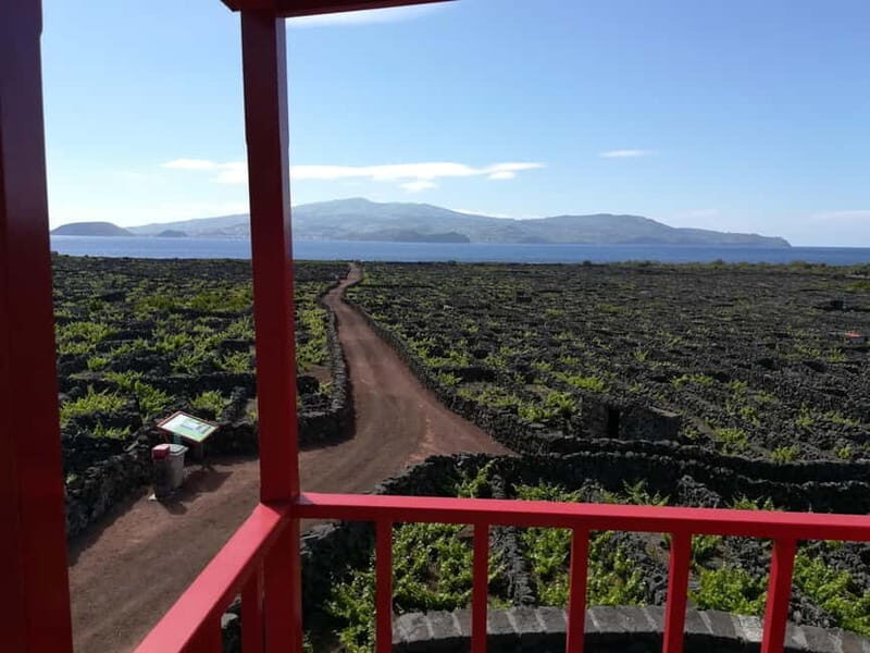 Pico Island: Tours on Pico Island - FAQs