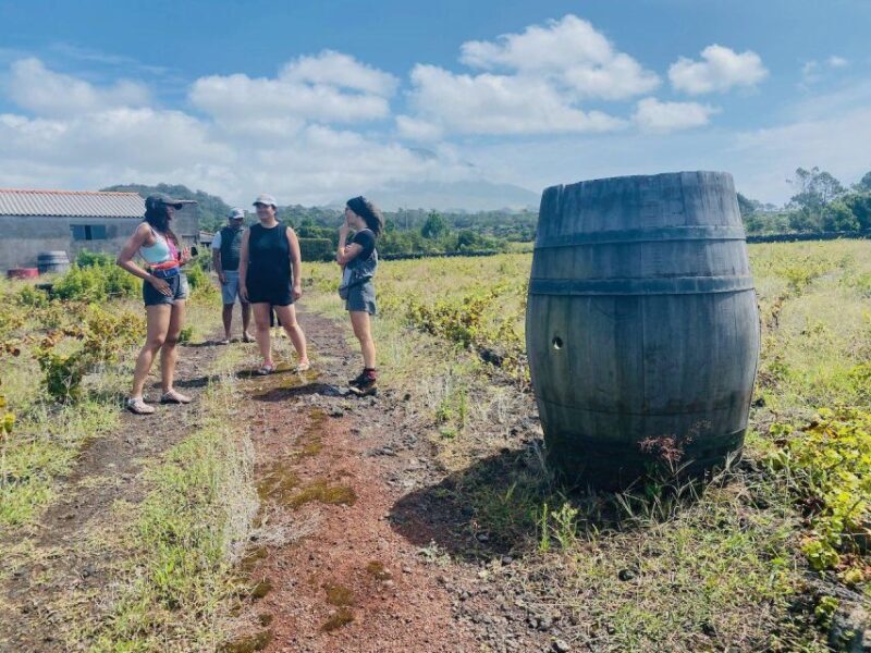 Pico Island: Wine Tasting, Independent Producers & Culture - Final Thoughts