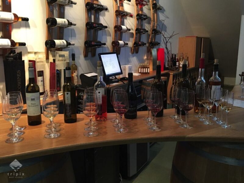 Pico Wine Tour: Get to know Pico's wines - A Deep Dive into the Pico Wine Tour