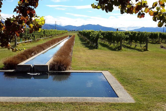 Picton Cruise Ship Shore Excursion Marlborough Wine Tour - Authentic Experiences as Reflected in Reviews