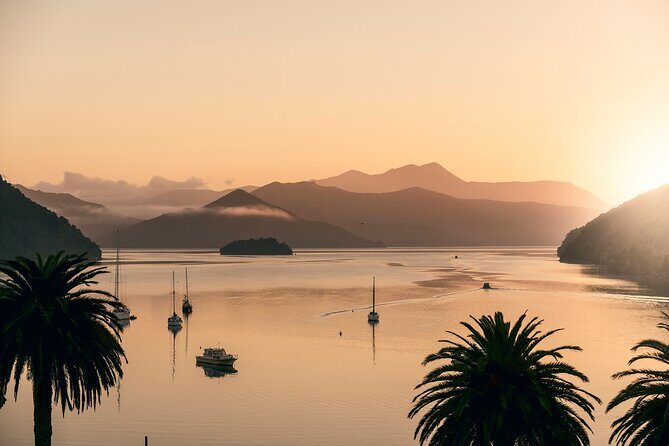 Picton Morning Guided Kayak with Afternoon Boat Cruise Tour - FAQ