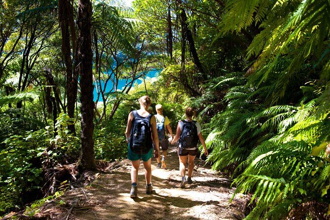 Picton Shore Excursion Kaipupu Sanctuary Water Taxi - Introduction