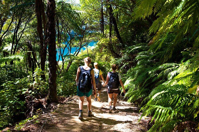 Picton Shore Excursion Kaipupu Sanctuary Water Taxi - What to Expect on Your Kaipupu Sanctuary Water Taxi Tour