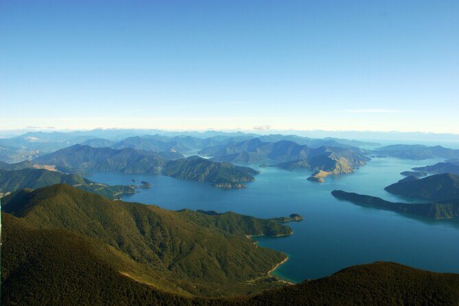 Picton Shore Excursion Queen Charlotte Sound Cruise - Why This Cruise Stands Out