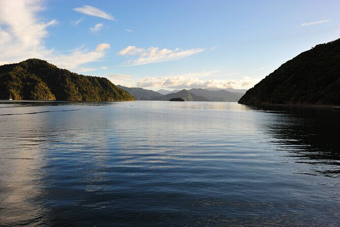 Picton Shore Excursion Queen Charlotte Sound Cruise - The Experience of a Lifetime?