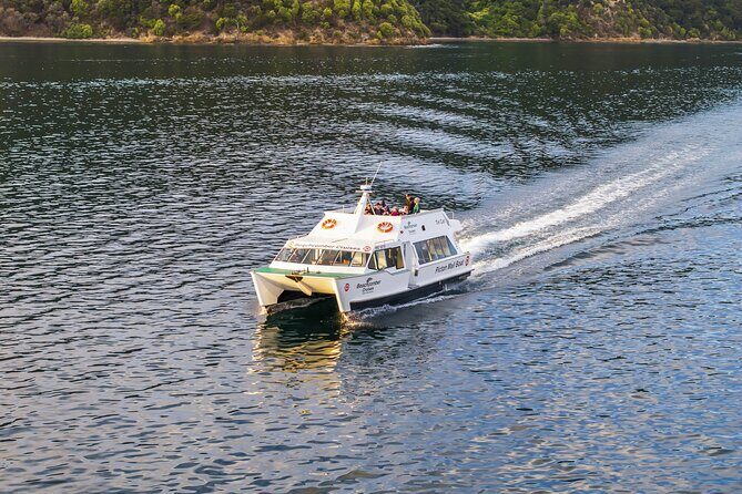 Picton Shore Excursion Queen Charlotte Sound Cruise - The Value of this Cruise