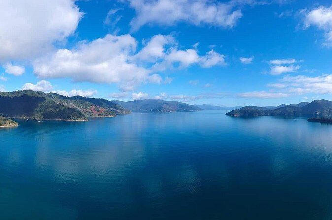 Picton Shore Excursion Queen Charlotte Sound Cruise - Who Will Love This Experience?