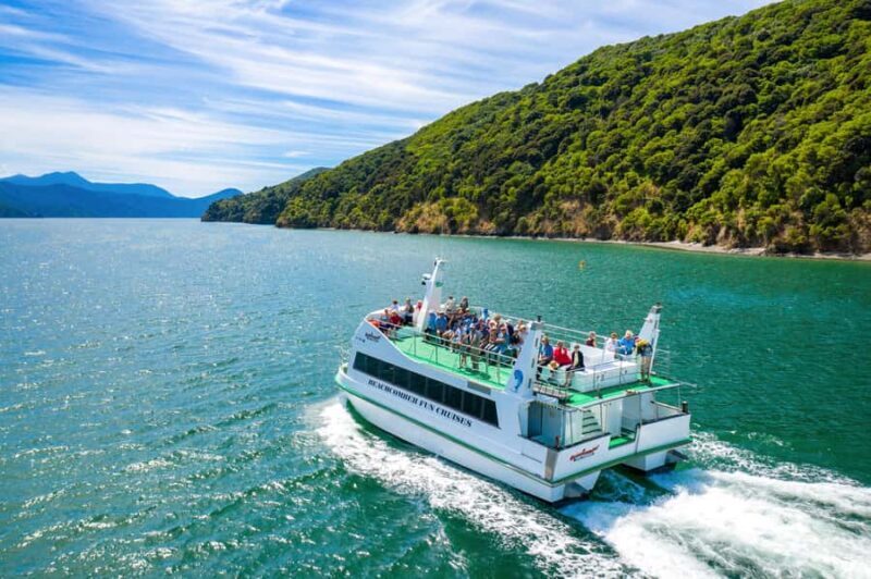 Picton Shore Excursion: Queen Charlotte Sounds Cruise - What to Expect on the Queen Charlotte Sounds Cruise