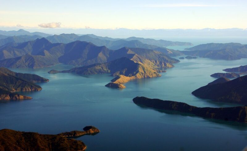 Picton Shore Excursion: Queen Charlotte Sounds Cruise - Key Points