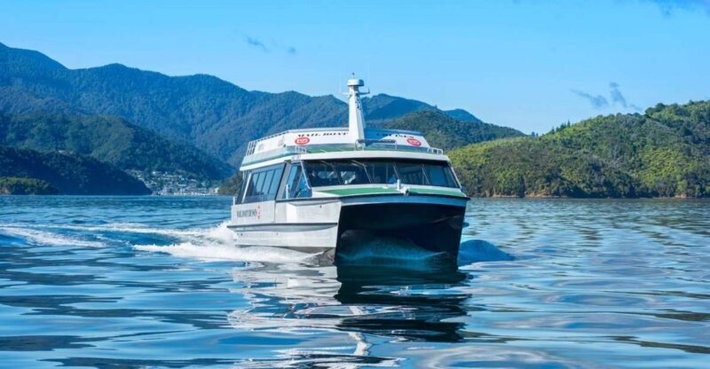 Picton Shore Excursion: Queen Charlotte Sounds Cruise - Why This Cruise is a Great Choice