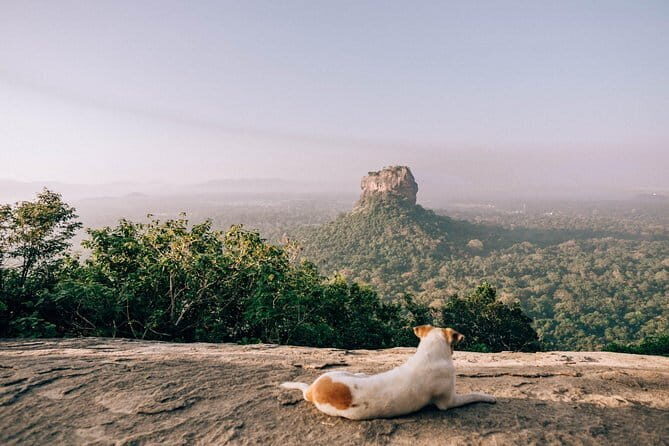 Pidurangala Day Tour From Negombo - Key Points