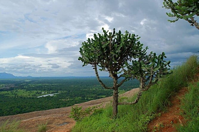 Pidurangala Day Tour From Negombo - Deep Dive: Why This Tour Offers Great Value