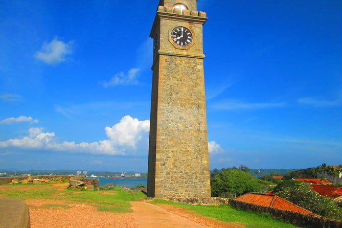 Pidurangala Day Tour From Negombo - Transportation & Timing