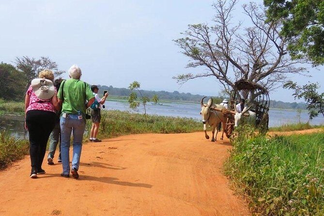 Pidurangala & Hiriwaduna Village Tour from Kandy - Why Choose This Tour?