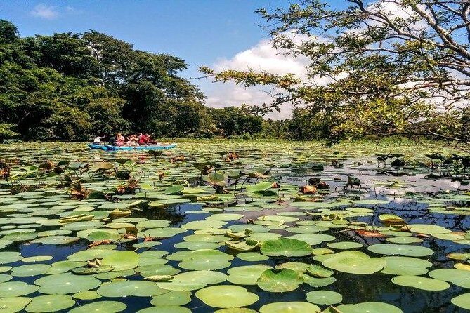 Pidurangala & Hiriwaduna Village Tour from Kandy - Frequently Asked Questions