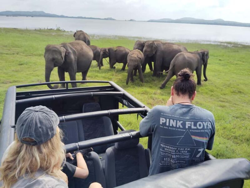 Pidurangala Rock Hike & Hurulu Eco Park Elephant Safari - Who Will Love This Tour?