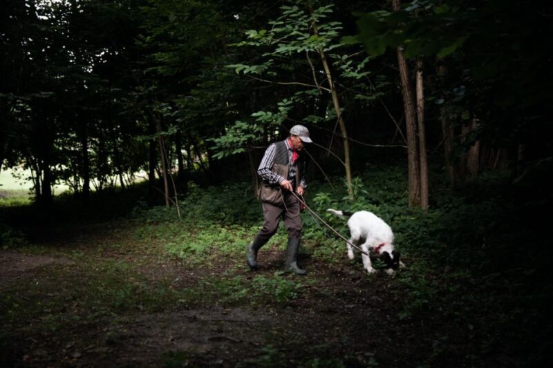 Piedmont: Private Truffle Hunting Tour with Truffle Tasting - An In-Depth Look at the Truffle Hunt in Piedmont