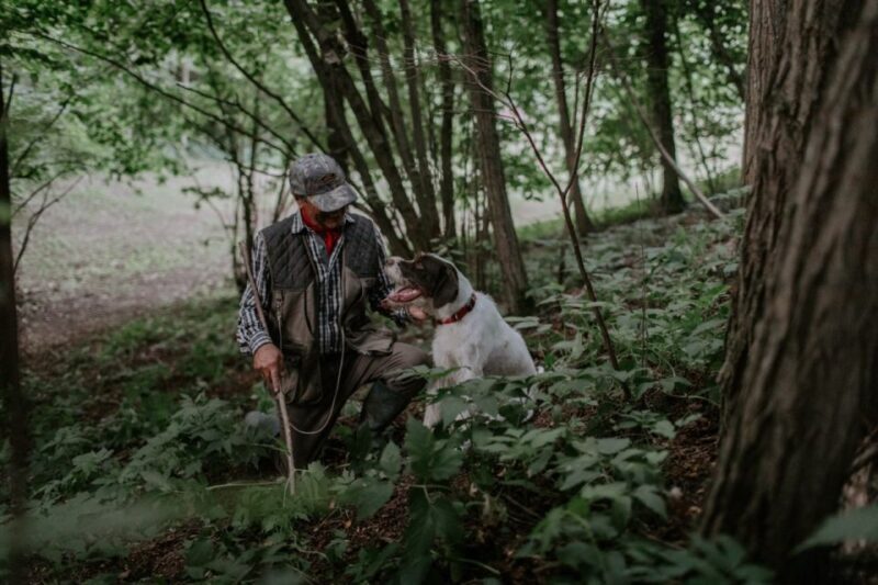 Piedmont: Private Truffle Hunting Tour with Truffle Tasting - The Sum Up