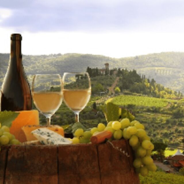 Piedmont Private Wine and Food Tour with Tastings - A Deep Dive into the Piedmont Private Wine and Food Experience