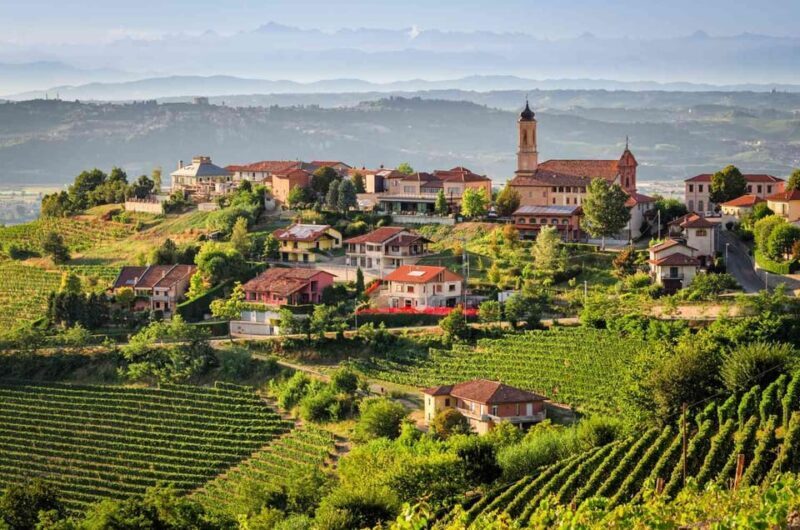 Piedmont Private Wine and Food Tour with Tastings - Authenticity and Reviews