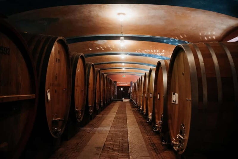Piedmont Private Wine Tour with Photography. Lunch inclusive - The Sum Up: A Refined and Picturesque Day in Piedmont