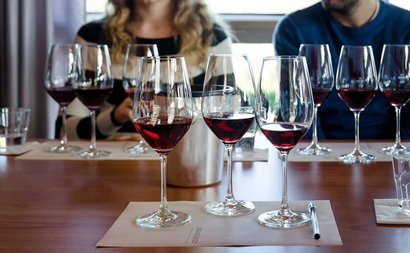 Piedmont: Winery Tour, Taste Barolo, Barbaresco & Local Food - An Authentic Glimpse into Piedmont’s Winemaking Heritage