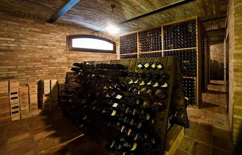 Piedmont: Winery Tour, Taste Barolo, Barbaresco & Local Food - Who Will Love This Tour?