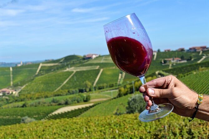 Piemonte Vineyards by Yourself from Turin - Business Car with English Chauffeur - Introduction