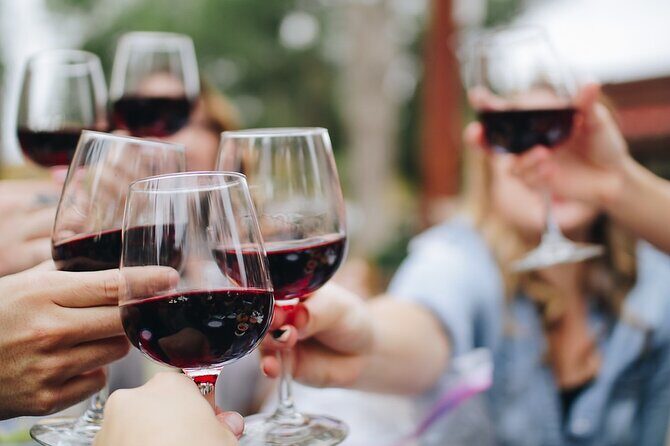 Piemonte Vineyards by Yourself from Turin - Business Car with English Chauffeur - Visiting the Towns and Vineyards