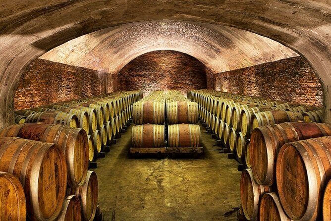 Piemonte Vineyards by Yourself from Turin - Business Car with English Chauffeur - Comfort, Convenience, and the Overall Experience