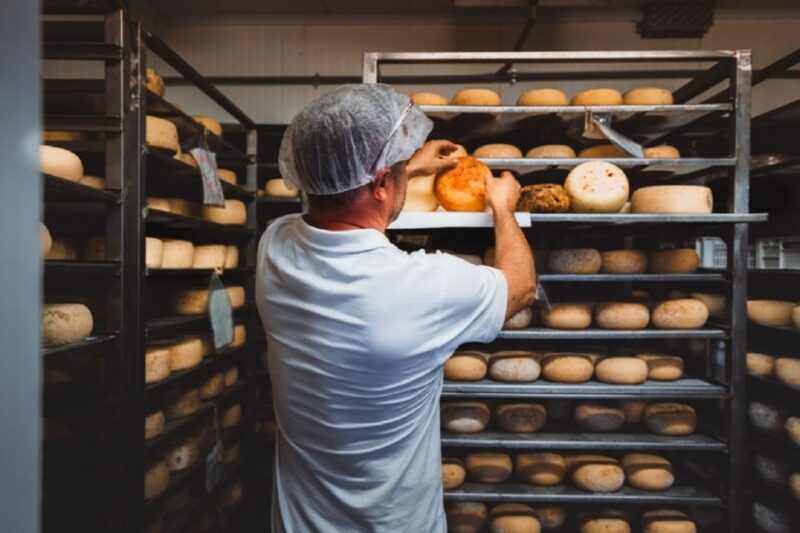 Pienza: Dairy Farm Tour with Pecorino Cheese Tasting - Key Points