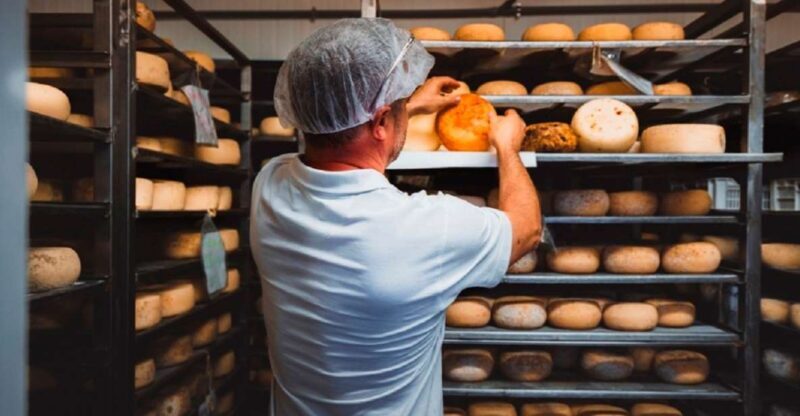 Pienza: Dairy Farm Tour with Pecorino Cheese Tasting - An In-Depth Look at the Experience