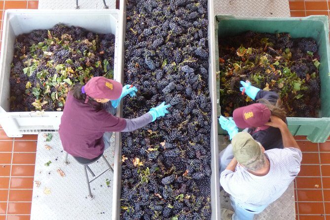Pienza, Montalcino, Brunello Wine and Pecorino Cheese PRIVATE TOUR from FLORENCE - In Closing