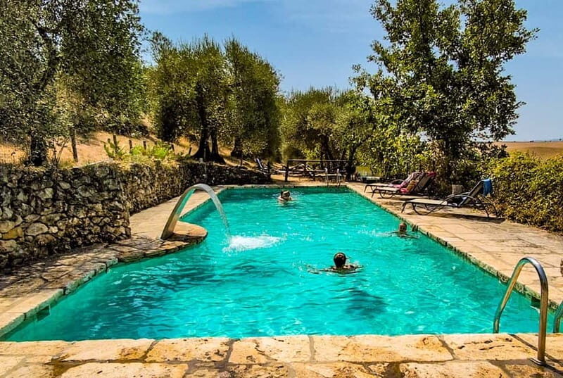 Pienza: Pool Day with Typical Gourmet Lunch at Farmhouse - Who This Experience Is Perfect For