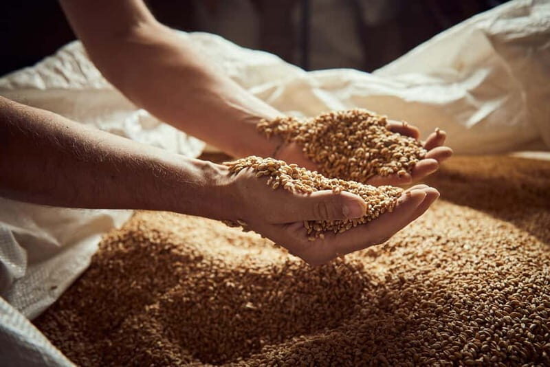 Pienza: tour of the mill with oil and wine tasting - Final Thoughts: Who Will Love This Tour?
