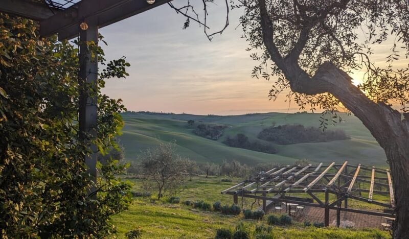 Pienza: Tuscan Cooking Class of Homemade Pastas and Cantucci - A Genuine Look at the Experience