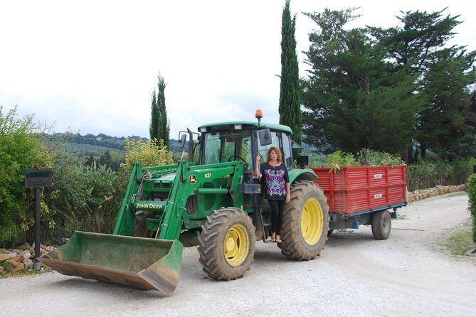 Pienza, Val d'Orcia, Montalcino wine and Pecorino cheese PRIVATE TOUR from SIENA - FAQ