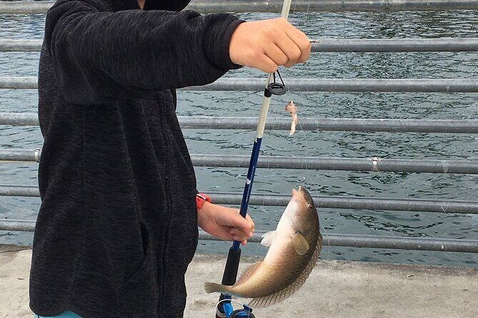 Pier Fishing Tour - San Diego - Final Thoughts: Is It Worth It?