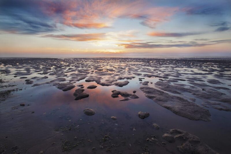 Pieterburen: Wadden Sea Mudflats Guided Walking Tour - What to Expect from the Wadden Sea Mudflat Walk