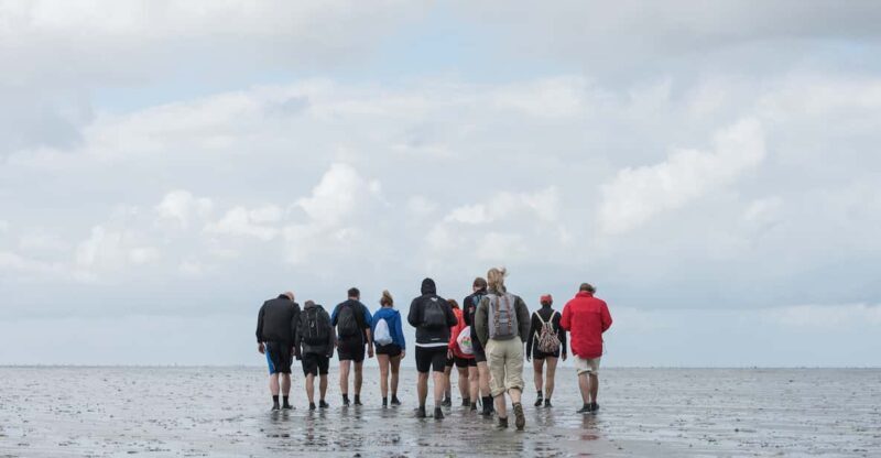 Pieterburen: Wadden Sea Mudflats Guided Walking Tour - Final Thoughts