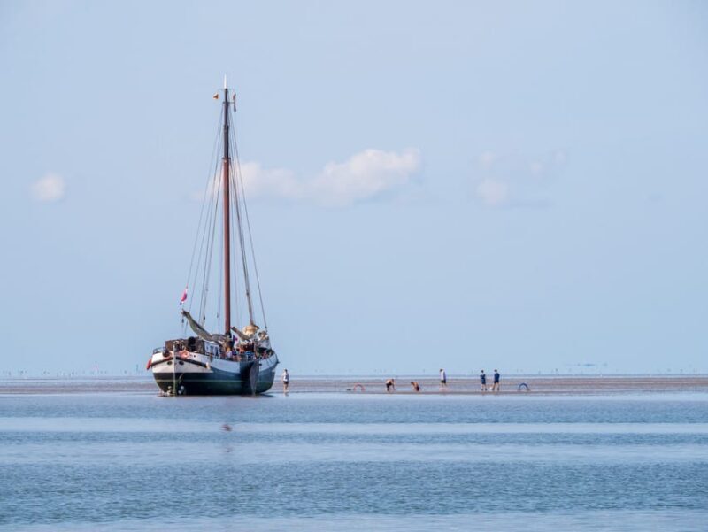 Pieterburen: Wadden Sea Mudflats Guided Walking Tour - Frequently Asked Questions