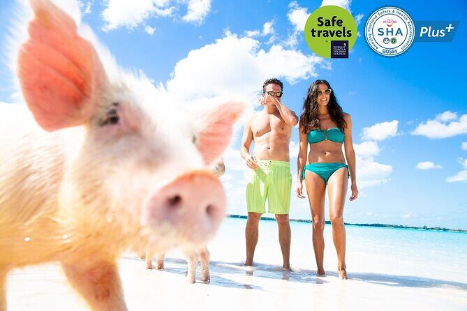 Pig Feeding, Kayaking, Snorkeling Trip at Pig Island By Speedboat From Koh Samui - Exploring the Itinerary in Detail