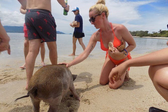 Pig Feeding, Kayaking, Snorkeling Trip at Pig Island By Speedboat From Koh Samui - The Sum Up