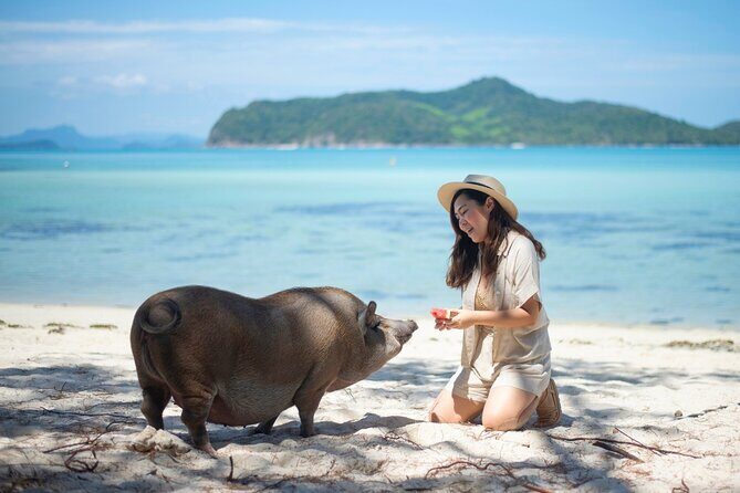 Pig Island (Koh Mudsum) and Koh Tan Tour with Meal from Koh Samui - Key Points