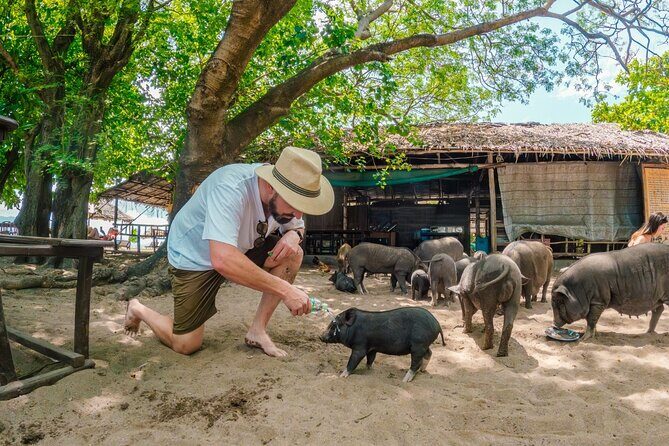 Pig Island (Koh Mudsum) and Koh Tan Tour with Meal from Koh Samui - An In-Depth Look at the Koh Samui Island-Hopping Experience